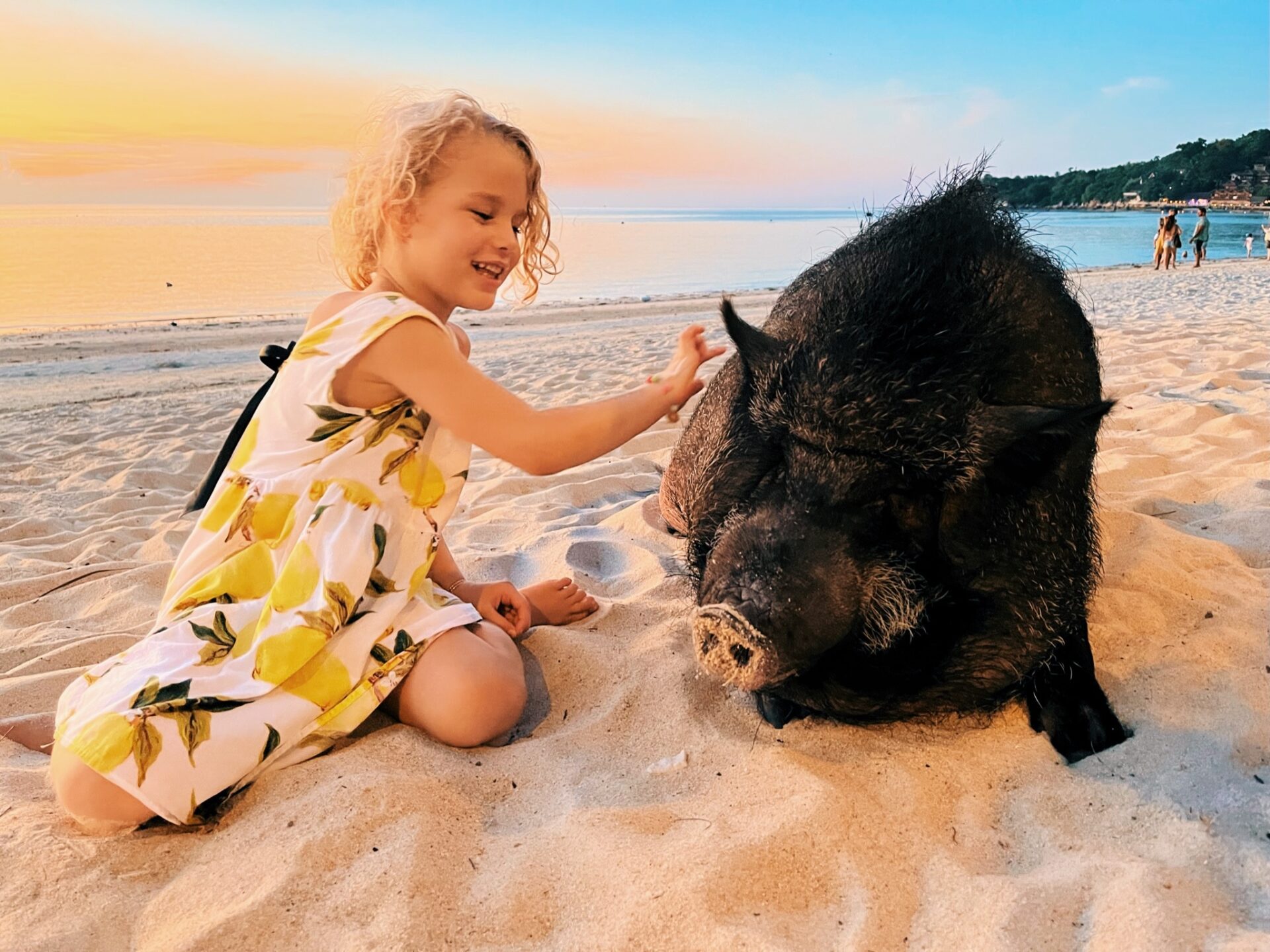 Traveling With a Toddler: Tips From a Nomad Mum – Updated 2026
