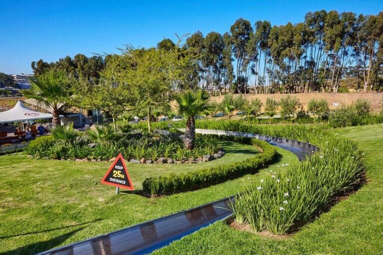 Toboggan Cape Town Fun: Our Day at Cool Runnings